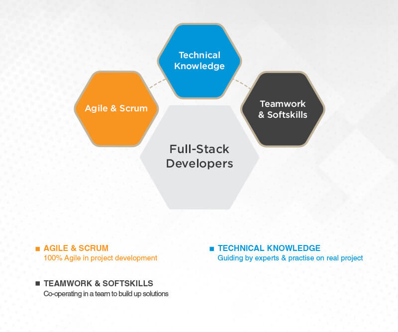 Top Myths about Full Stack Application Developers | Appinventiv