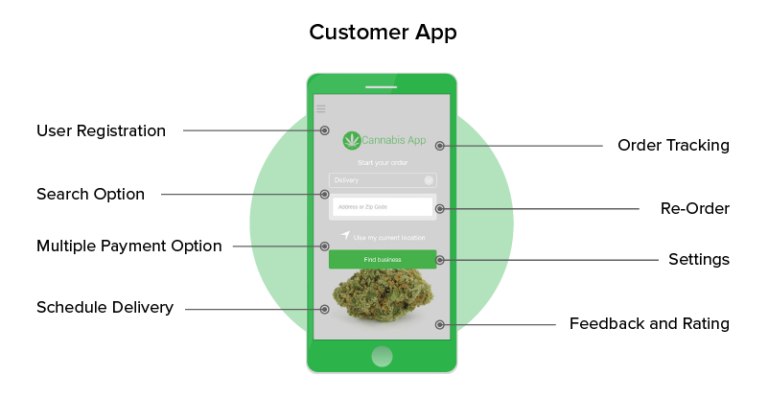 Cannabis Delivery App Development Cost